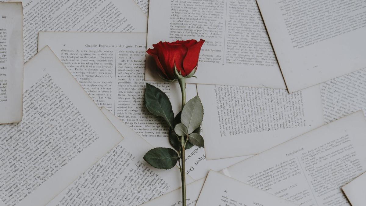 Romance Books You Need To Read This Valentine’s Day – RachelRavess